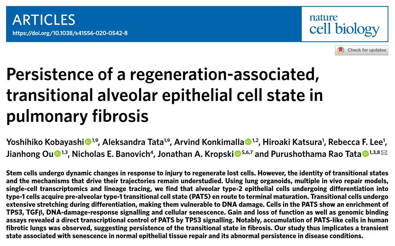 241021 文献泛读 AT2 / AT1 - 知乎