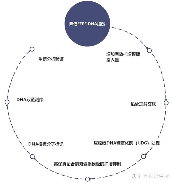 如何从FFPE样本中获得高质量核酸 - 知乎