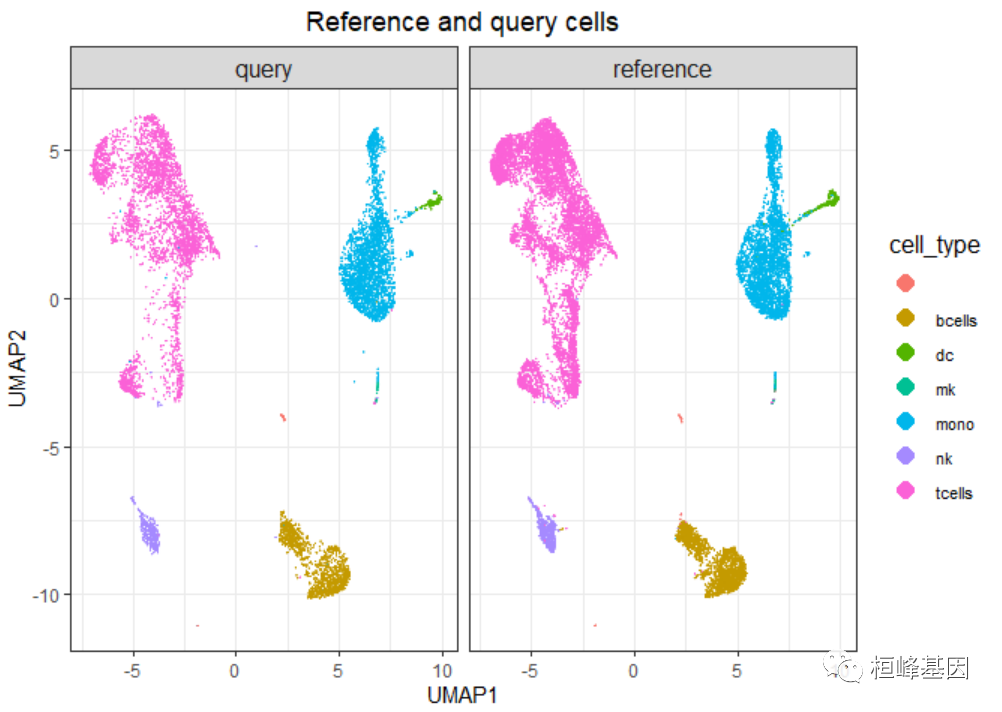 SCS【19】单细胞自动注释细胞类型 (Symphony) - 知乎