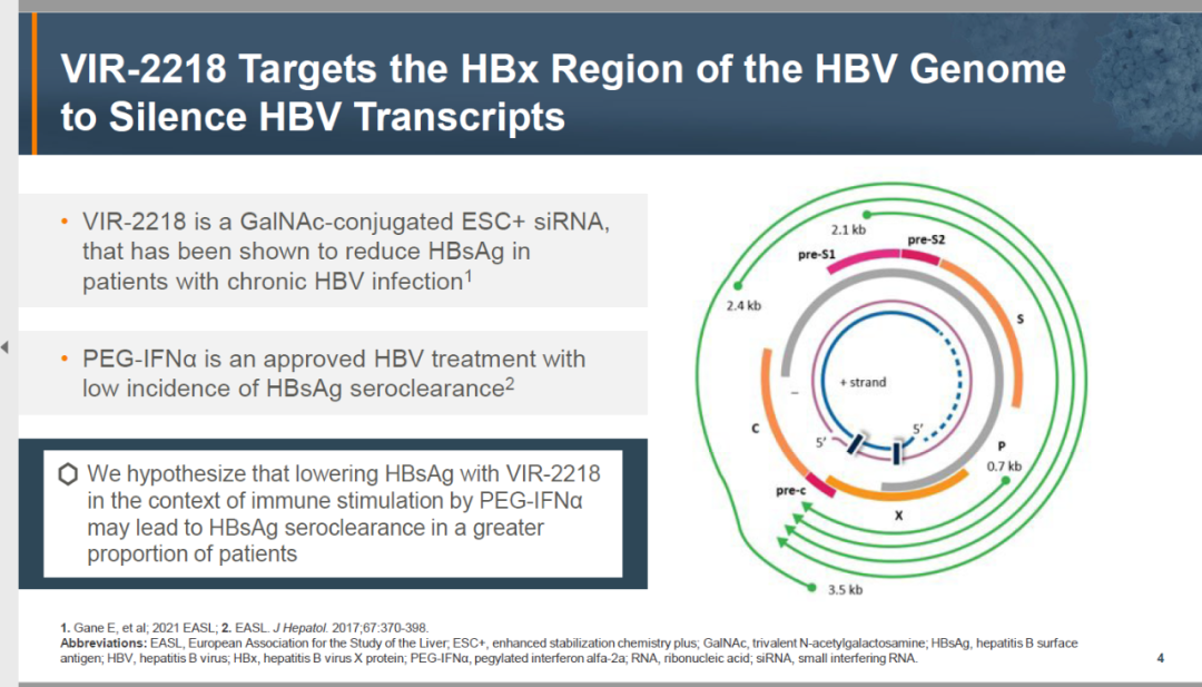 功能性治愈乙肝，又近了一步 - 知乎