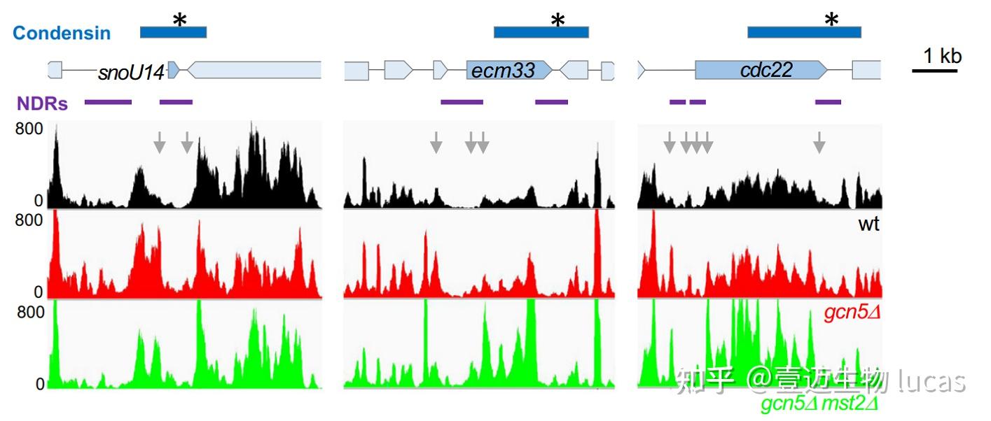 MNase Seq Kit 产品性能报告 (IEMed-K327) - 知乎