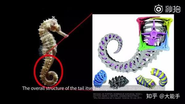 日本发布可穿戴式机械尾部装置，人类阔别已久的尾巴又“回来了” - 知乎