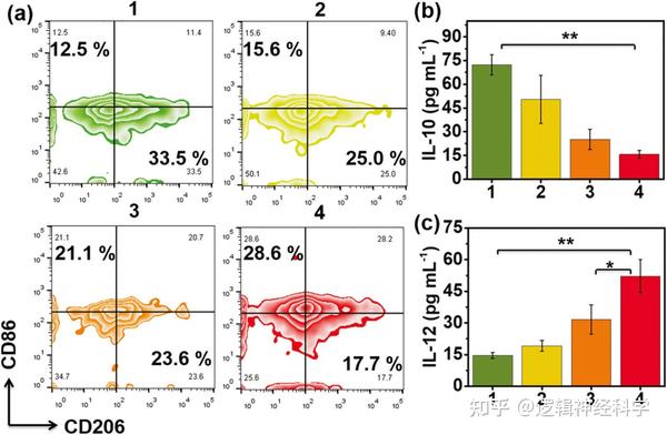 Adv Sci︱中科院长春应化所林君/山东大学李春霞团队合作发现贵金属纳米酶AuPtAg-GOx通过饥饿治疗增强温和光热治疗诱导协同的肿瘤免疫治疗 - 知乎
