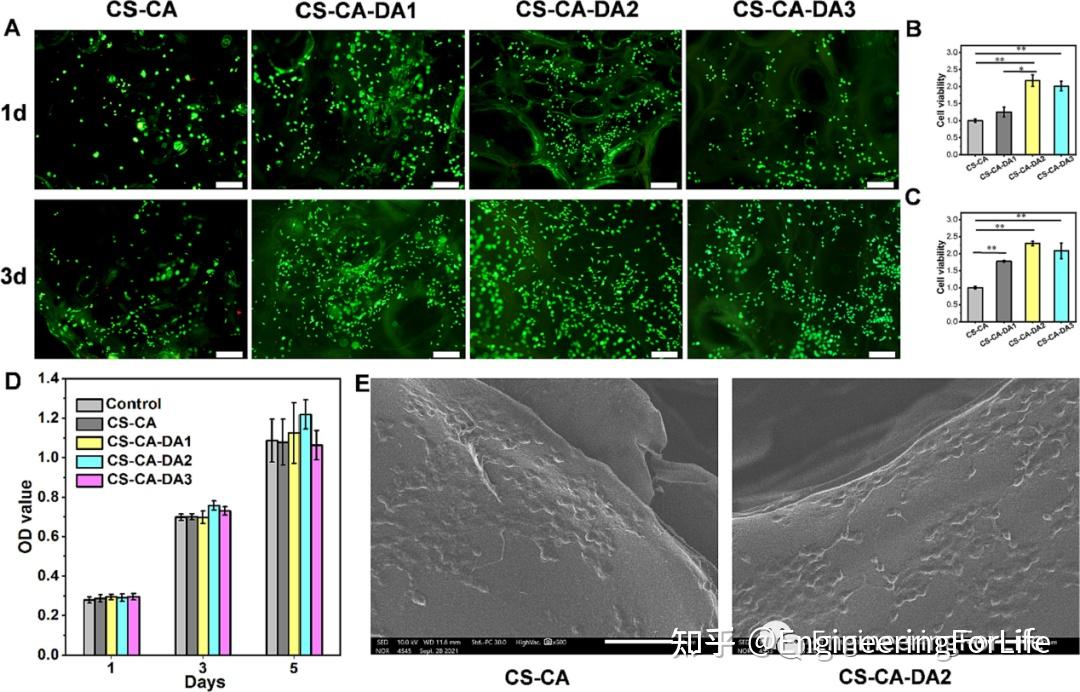 《Carbohydr. Polym.》：多巴胺-壳聚糖水凝胶治疗脊髓损伤 - 知乎