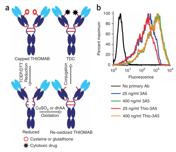 ADC的四大经典定点偶联技术 - 知乎