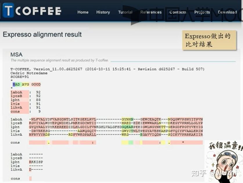 山东大学生物信息学学习笔记5—多序列比对及其工具 - 知乎