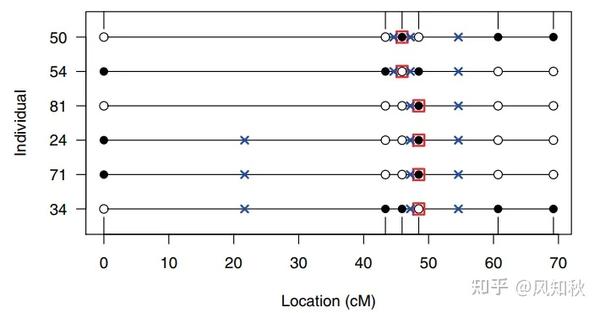 R/qtl 分析流程 - 知乎