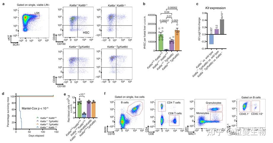 KAT6B过表达：拯救KAT6A缺失小鼠的关键突破 - 知乎