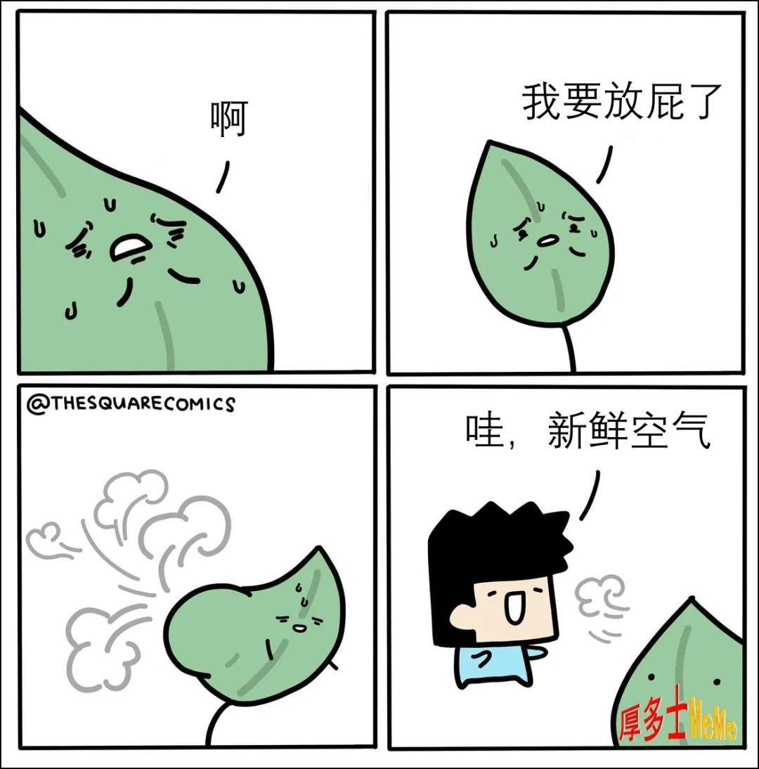 你看过的最有意思的meme、梗图有哪些? - 知乎