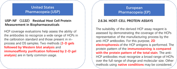 HCP抗体覆盖率验证解决方案(一)2D-WB双向凝胶电泳联用免疫印迹分析 - 知乎
