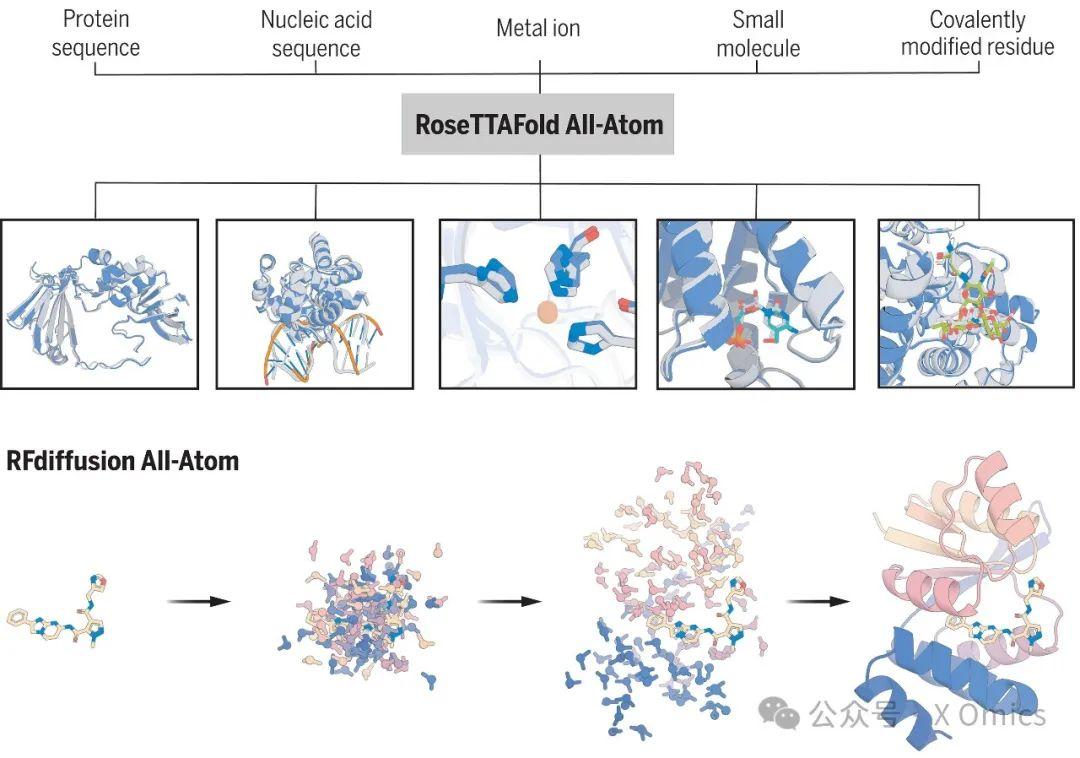 Science封面｜AlphaFold团队又出新作——下一代蛋白质结构预测和设计工具 - 知乎