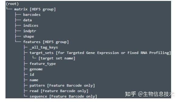 单细胞数据存储——HDF5格式 - 知乎