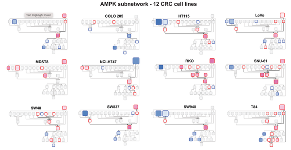 Clin Transl Med︱耶鲁大学刘延盛团队通过磷酸化蛋白质组学揭示二甲双胍在结直肠癌细胞中的作用机制 - 知乎