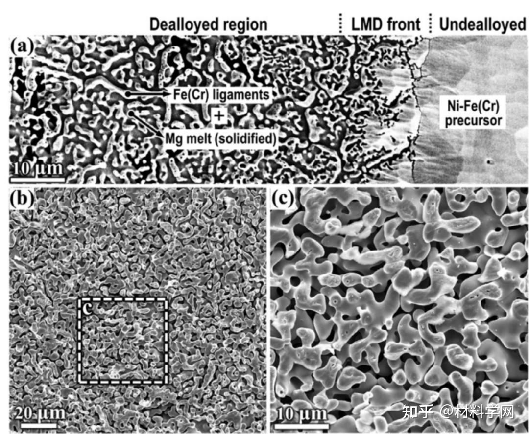 中科院金属所《Acta Materialia》：重大突破！大幅增强多孔金属拉伸延展性！ - 知乎