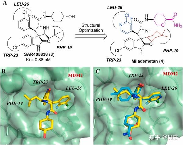 MDM2小分子抑制剂的临床研究进展 - 知乎
