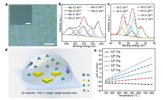 湖南大学段曦东教授 Nano Lett.：通过封闭式化学气相输运法在后端制程温度以下合成二维MoS₂和WS₂薄膜 - 知乎
