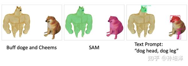 Cheems研讨会 Grounded Segment Anything：From Objects to Parts - 知乎