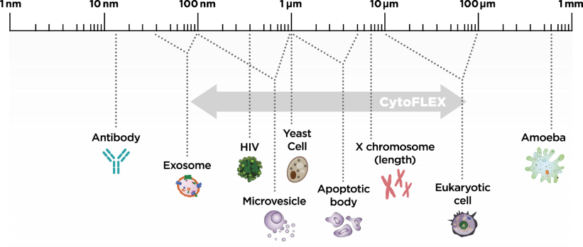 CytoFLEX怎样做好外囊泡检测？ - 知乎