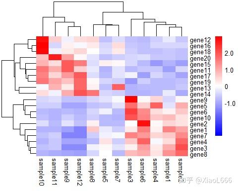使用pheatmap包绘制热图 - 知乎