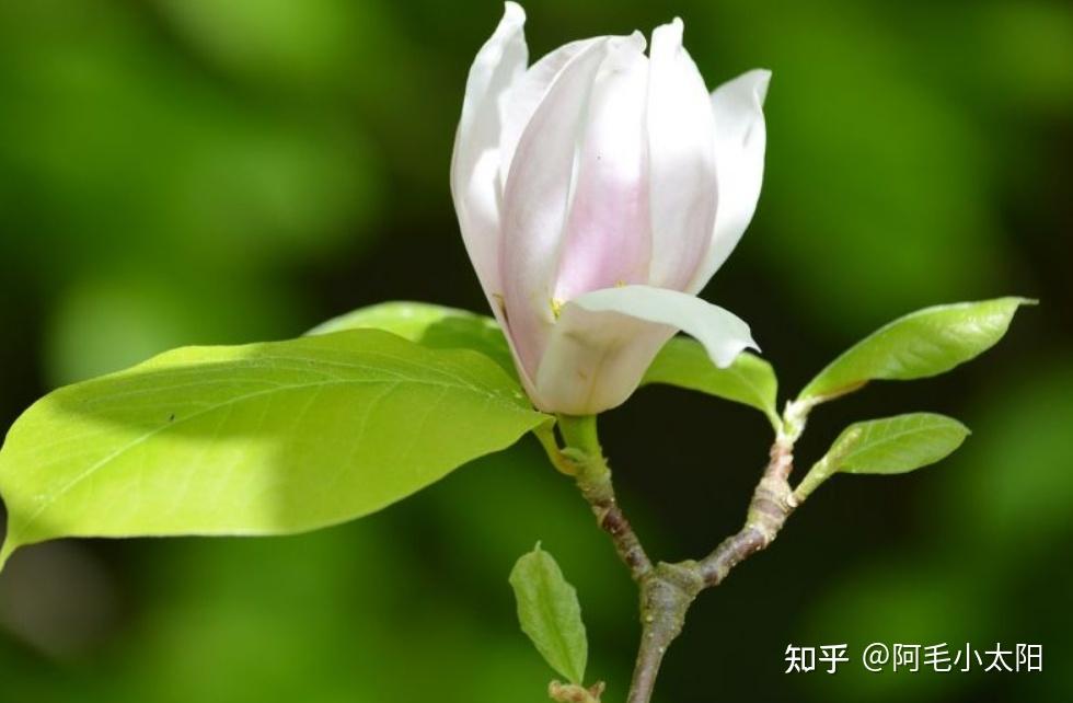 从现在起，养成这6个简单的好习惯！ 知乎
