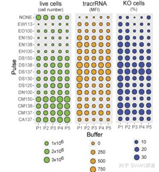 RNP介导的基因组编辑：推动下一代免疫治疗的突破 - 知乎