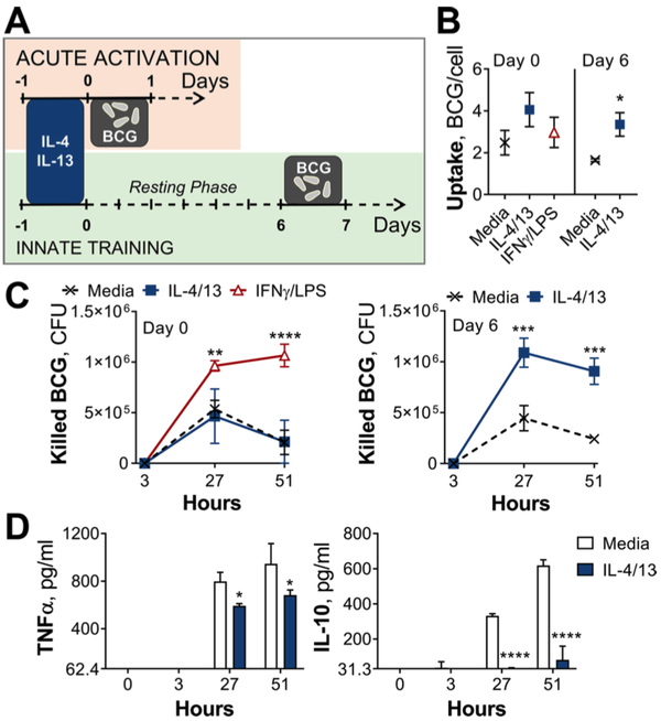 eLife丨 IL-4 和 IL-13 激活诱导的巨噬细胞免疫训练增强了OXPHOS驱动的抗分枝杆菌反应 - 知乎