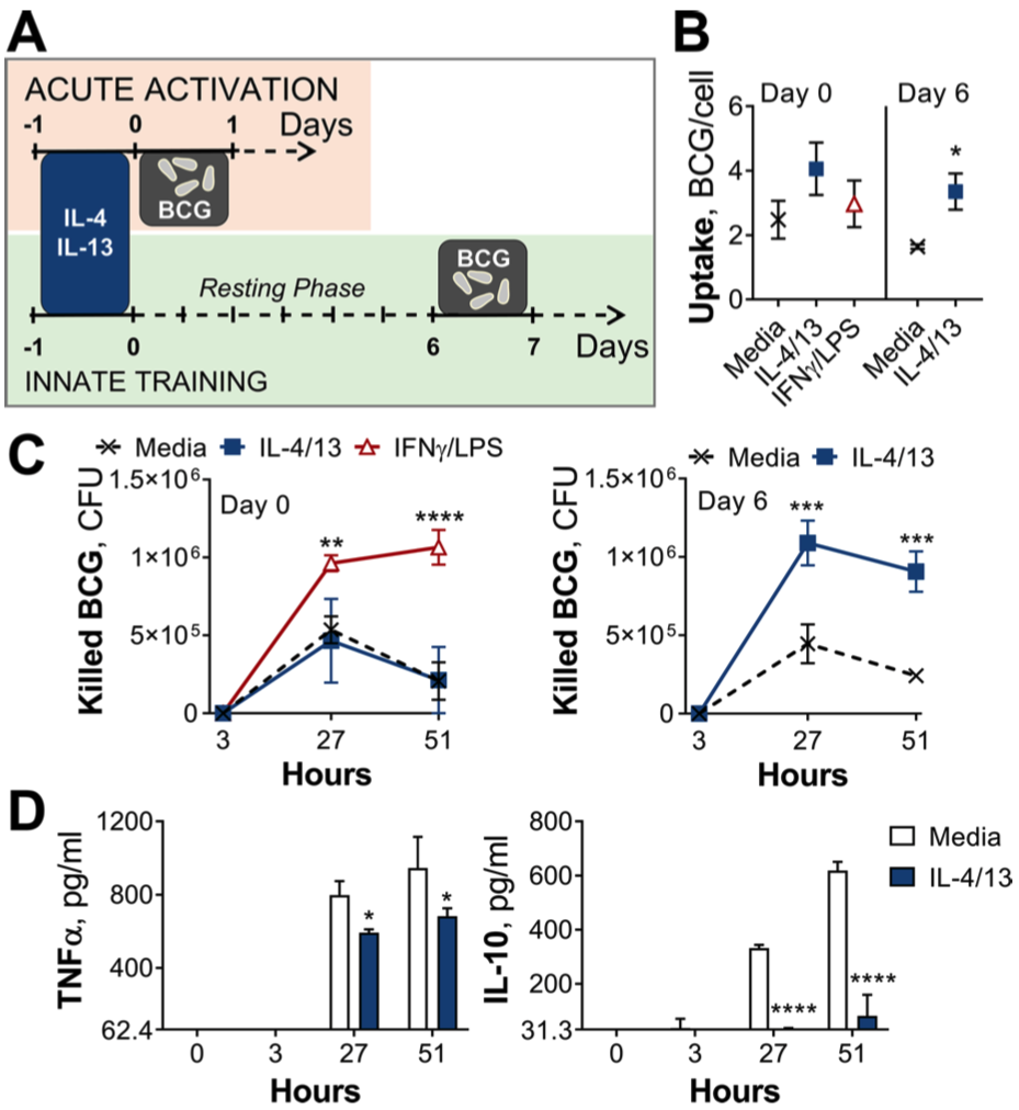 eLife丨 IL-4 和 IL-13 激活诱导的巨噬细胞免疫训练增强了OXPHOS驱动的抗分枝杆菌反应 - 知乎