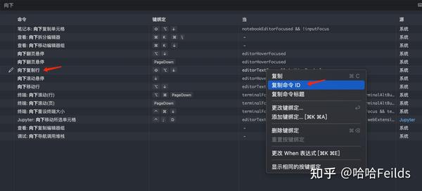 vscode 中使用vim (极简版) - 知乎