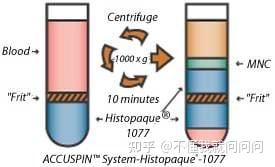 默克生命科学实验分享｜ 密度梯度介质和细胞分离 - 知乎