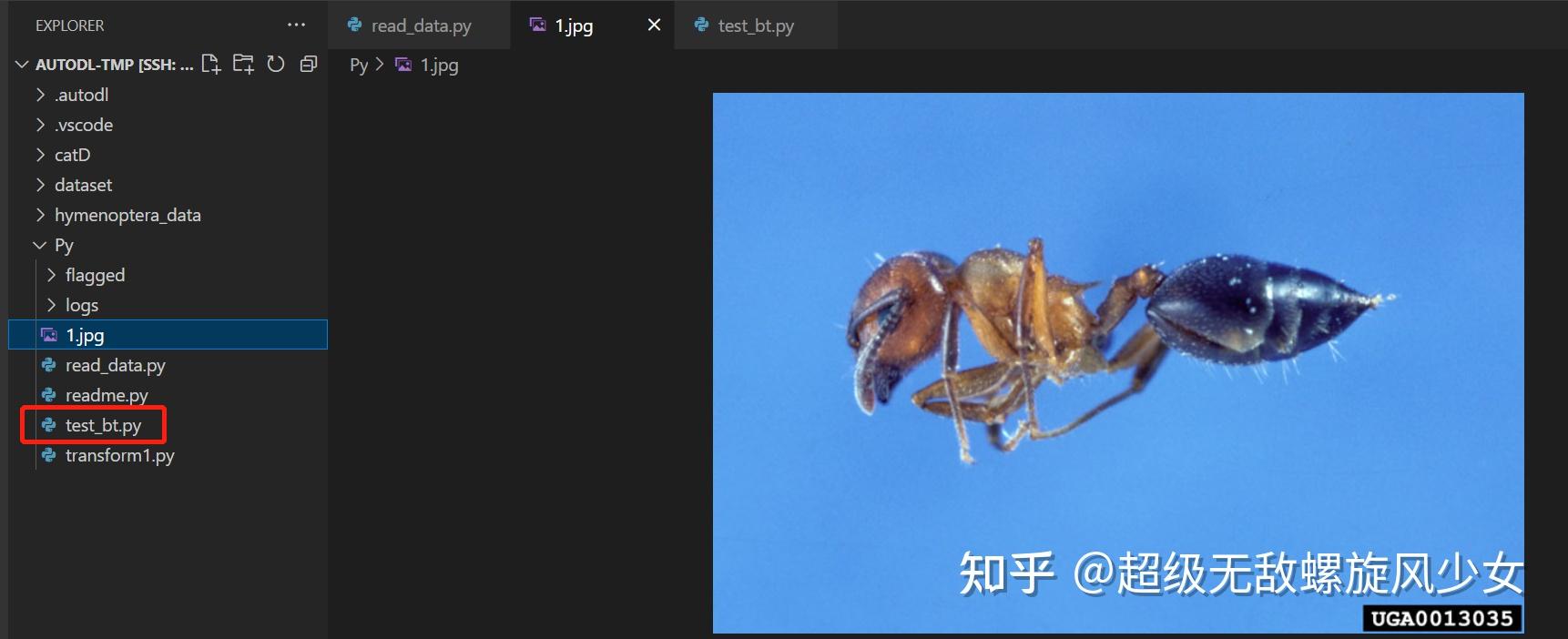 Gradio:轻松实现ai算法可视化部署 知乎