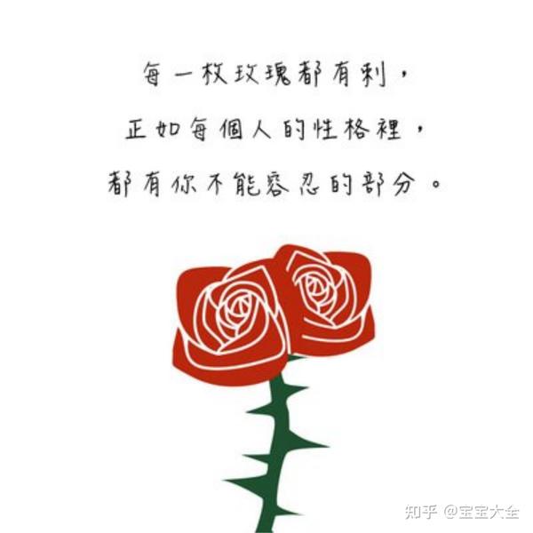 不完美才是人生 知乎