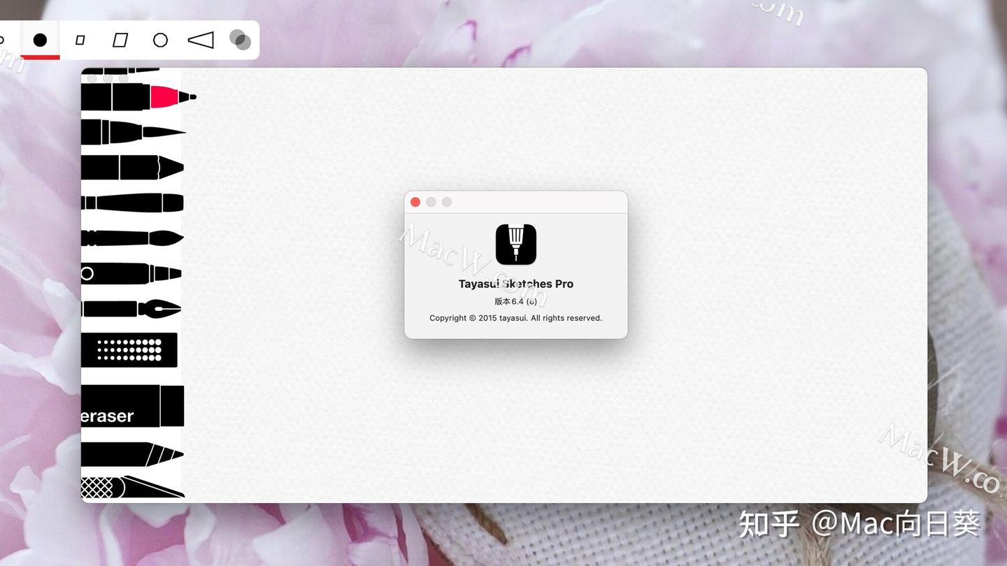 一款简易绘图工具Tayasui Sketches Pro for Mac - 知乎