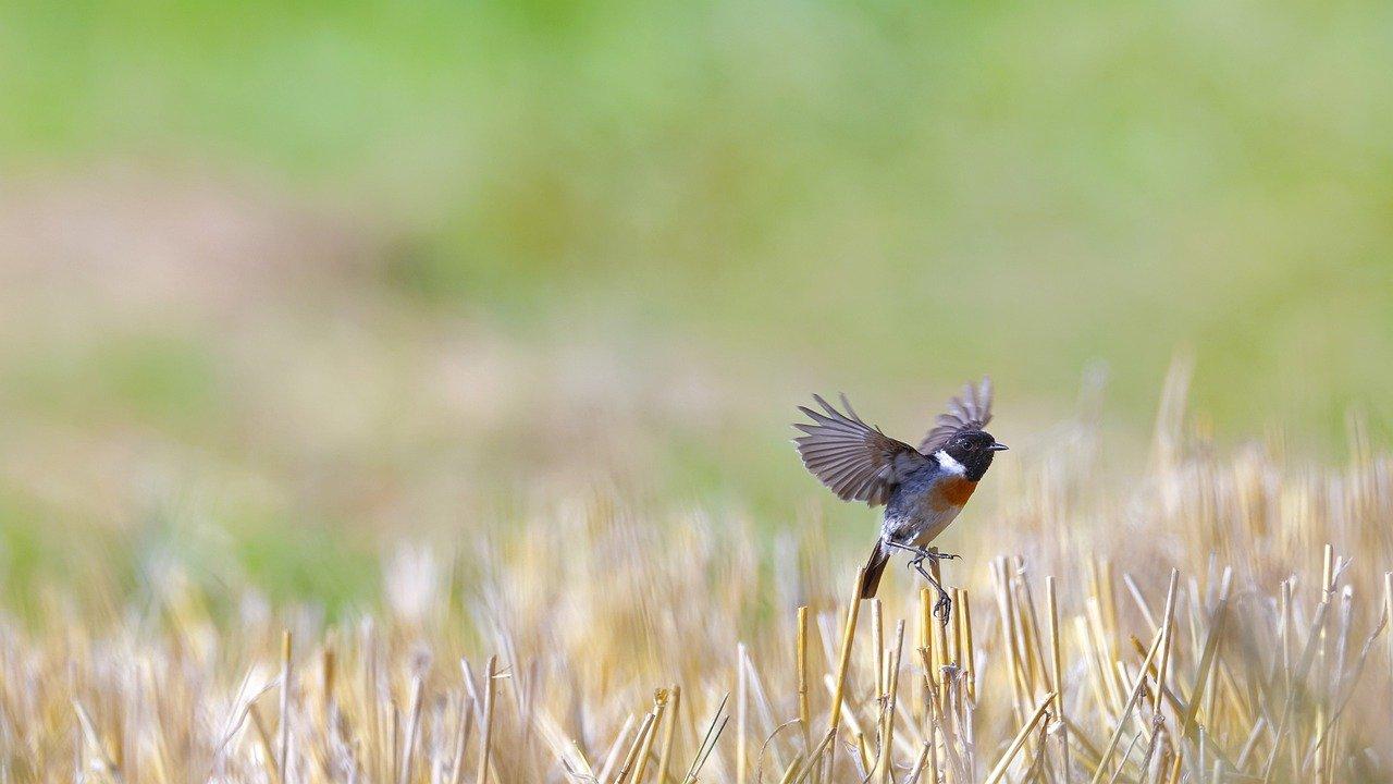 分享 6 个 Vue3 开发必备的 VSCode 插件 - 知乎