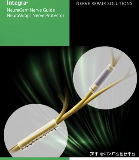 盘点外周神经系统修复相关公司及其产品 - 知乎