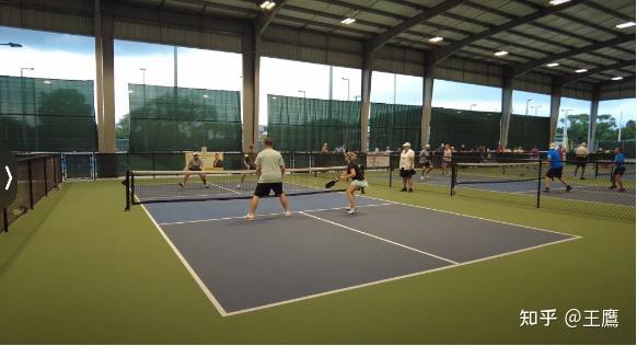 匹克球及美国其它球类运动 - 知乎