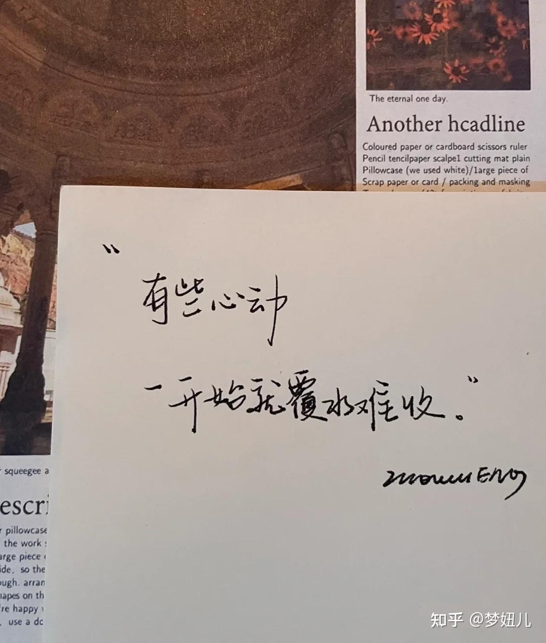 解锁当代网友的绝世文采——遗憾的是 知乎