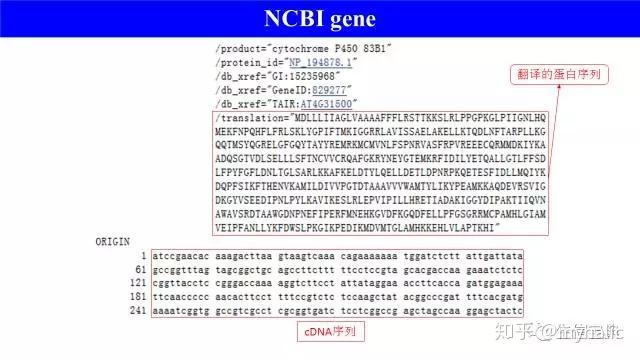 生信软件系列 - NCBI使用 - 知乎