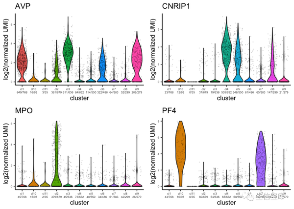 SingCellaR代码实操（四）：多样本单细胞数据整合下游分析 - 知乎
