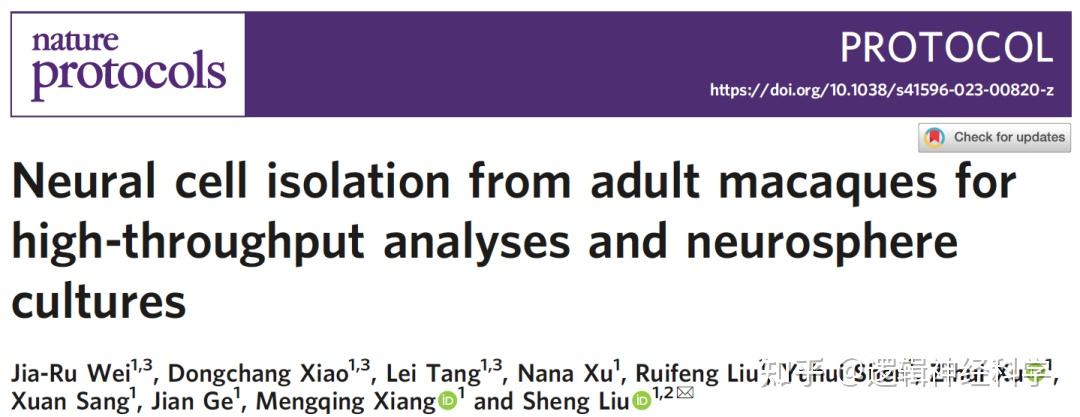 Nat Protocols︱中山大学刘胜团队开发了成年和老年灵长类脑神经细胞分离方法 - 知乎