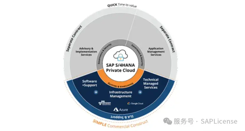 RISE with SAP许可模式深度解析：FUE、数字访问与成本构成
