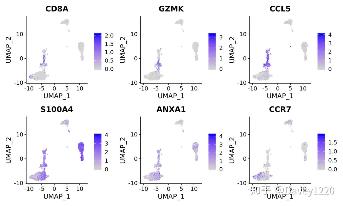 Seurat包学习笔记（四）：Using sctransform in Seurat - 知乎