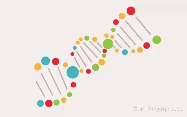 干货 遗传算法genetic Algorithm （附代码及注释） 知乎