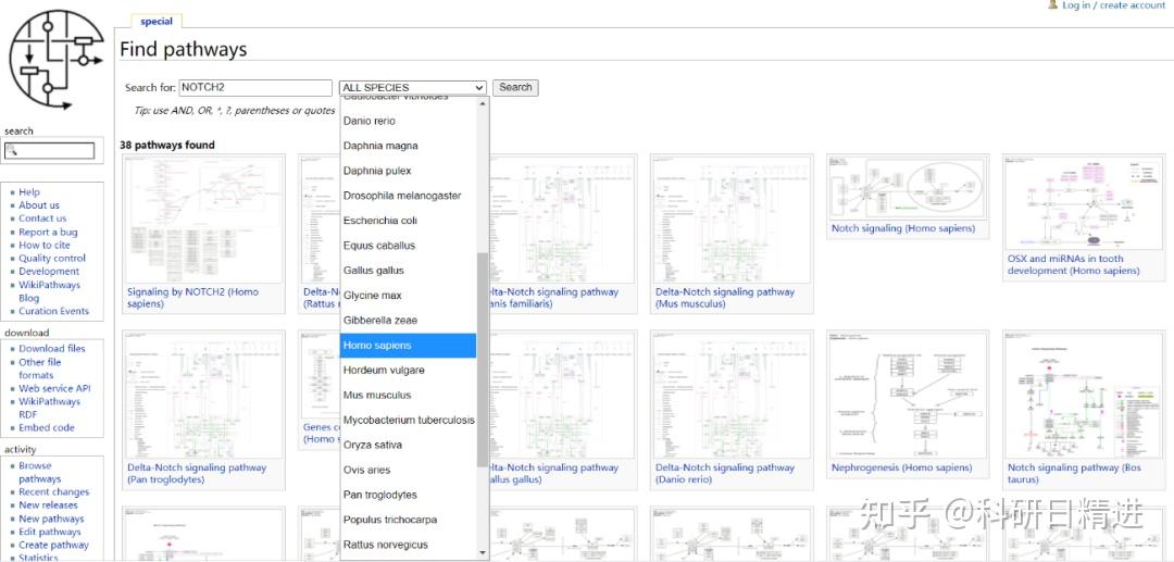 查找感兴趣的通路图（一）：Wiki pathways数据库 - 知乎