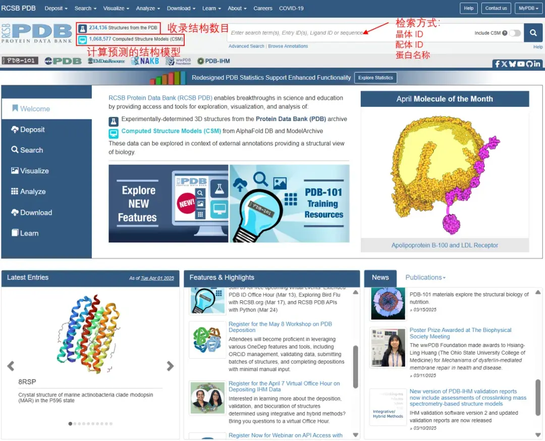 分子对接蛋白晶体的获取--PDB与UniProt数据库的使用 - 知乎