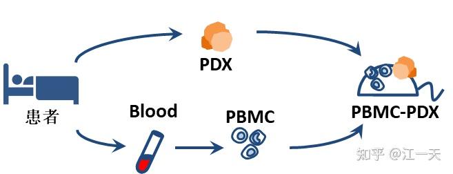 创模生物：PBMC-PDX肿瘤疫苗药效评价平台 - 知乎