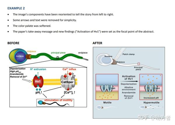 高质量的Graphical Abstract应该这么做，大部分作者都忽视！ - 知乎