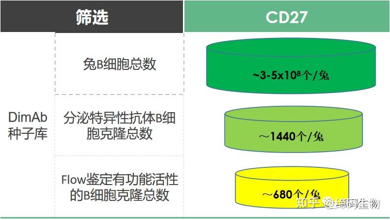 肿瘤免疫靶点 | CD27 - 知乎