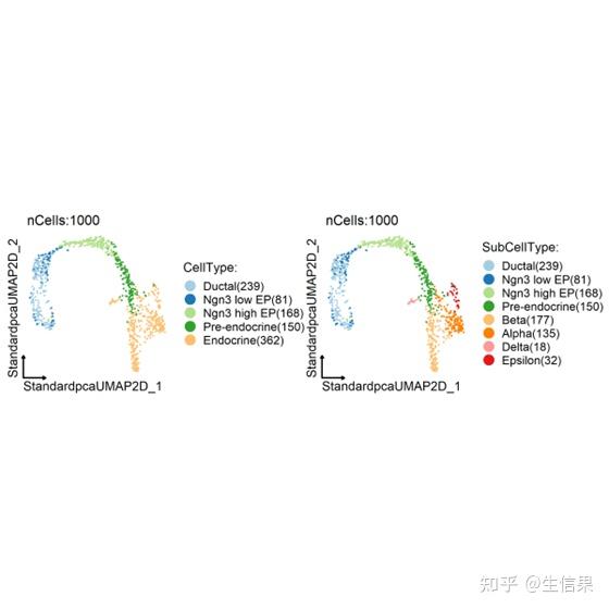 SCP探索单细胞宇宙的魔法工具，加速生物信息学研究 - 知乎