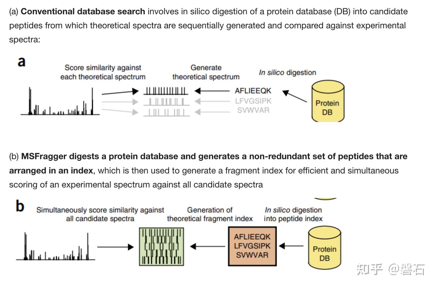 DDA蛋白鉴定II-FragPipe: MSFragger - 知乎