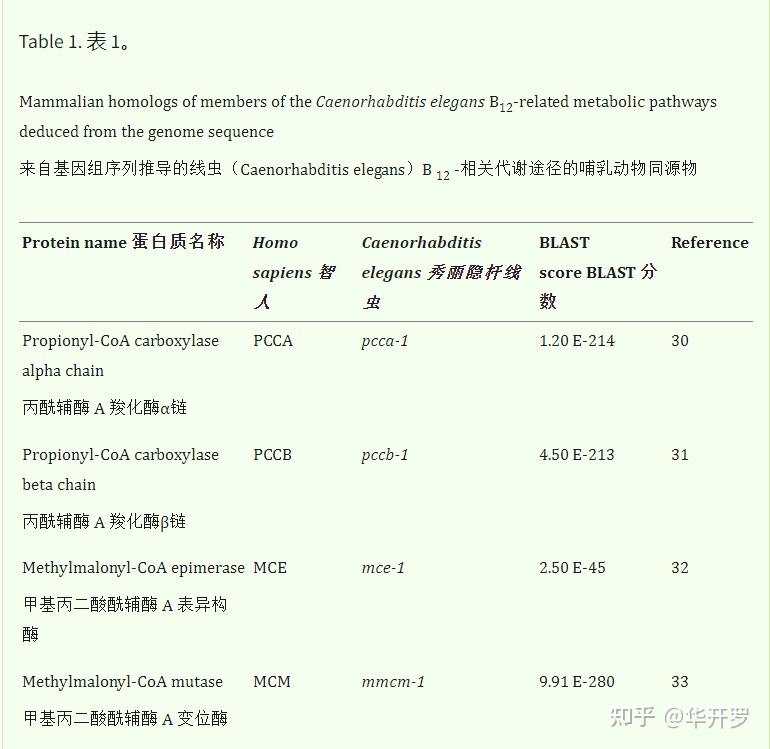 生物化学、功能及其在秀丽隐杆线虫中的缺乏维生素 B 12 - 知乎